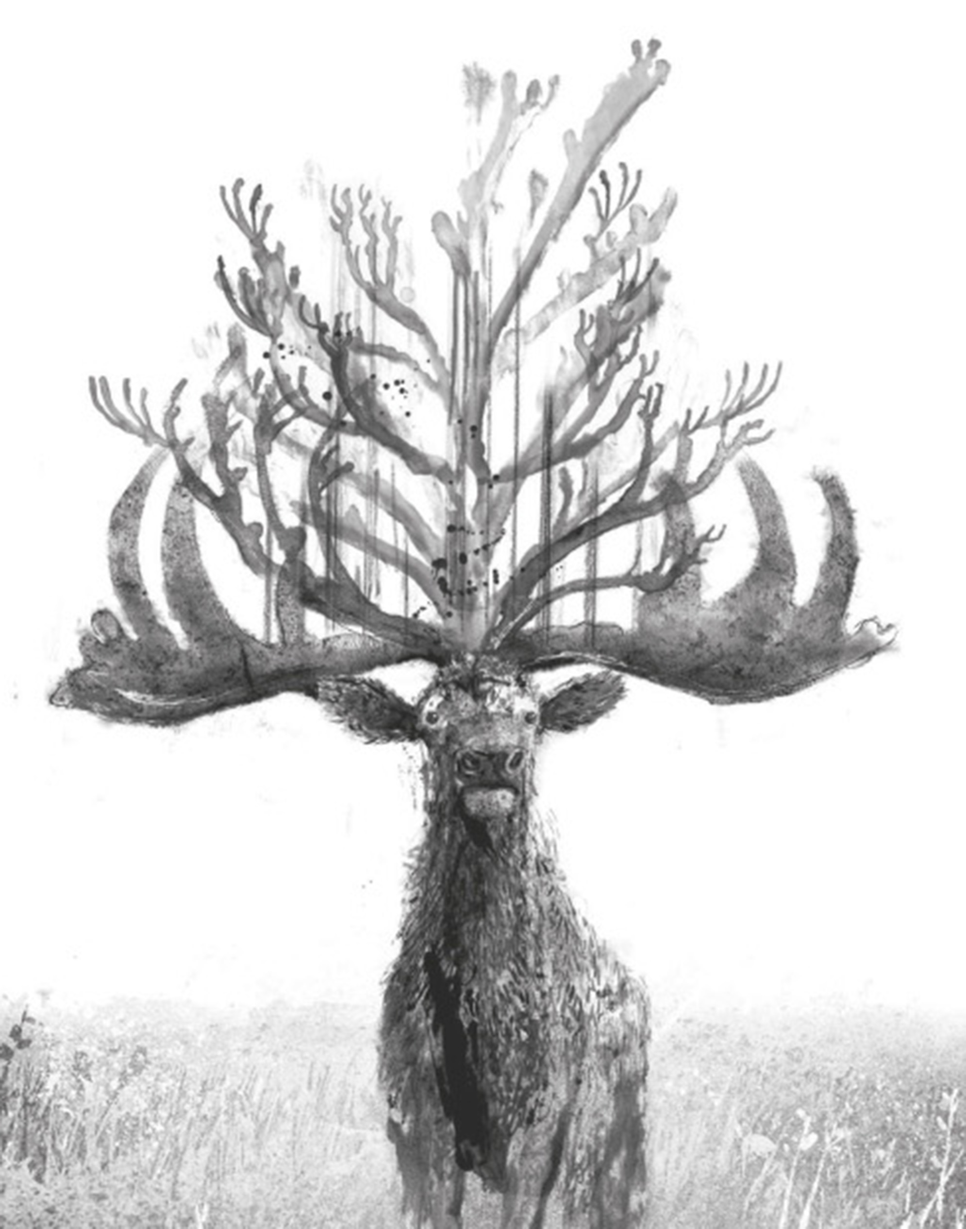 Jason Cockcroft Breaks Down Dreamy Illustrations for His New Novel, “We ...