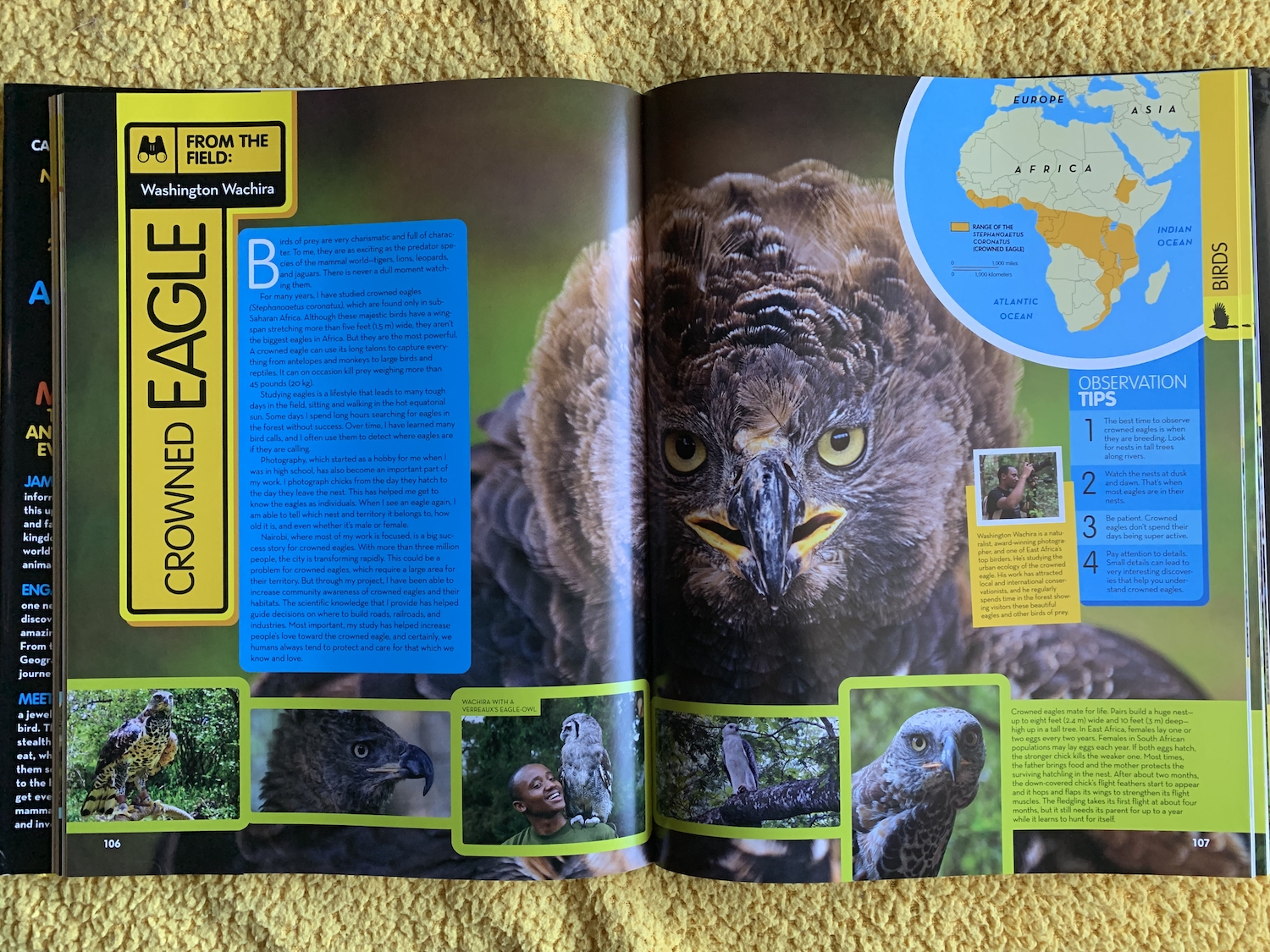 Book Review: “Animal Encyclopedia” (2nd Edition) by National Geographic ...
