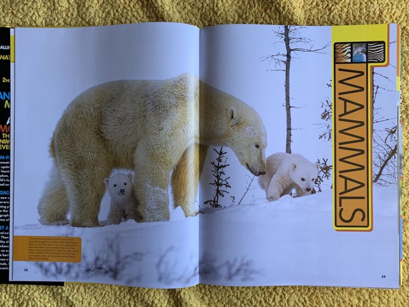 Book Review: “Animal Encyclopedia” (2nd Edition) by National Geographic ...